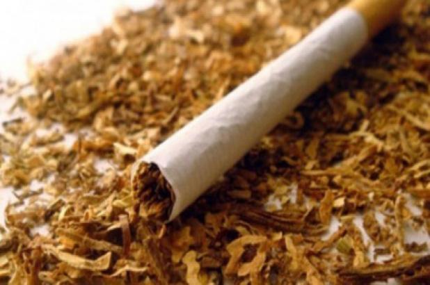 Nikotin Nedir, Vücudumuzdaki Nikotin Nasıl Temizlenir? - MaksatBilgi